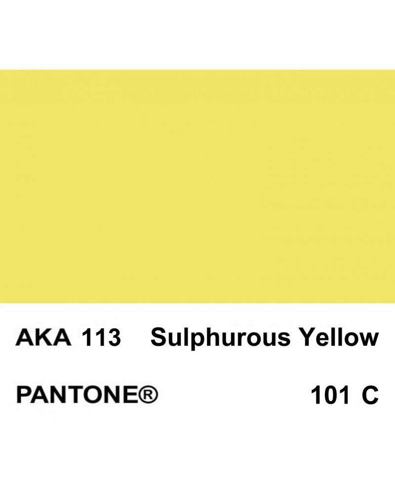 AKA Spray paint shop writer series