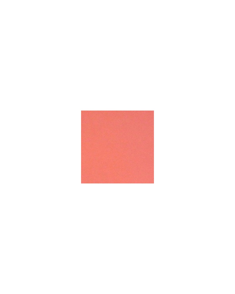 PANTONE 494