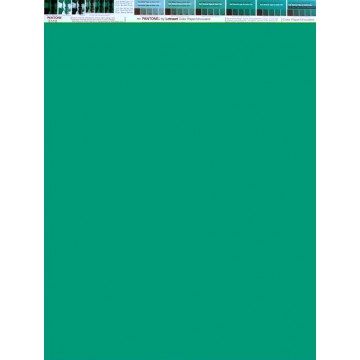 Pantone posters vert